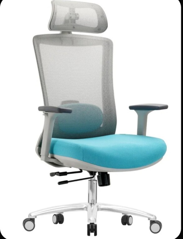 Кресло офисное Evolution ERGO PRIME голубой | Pepper